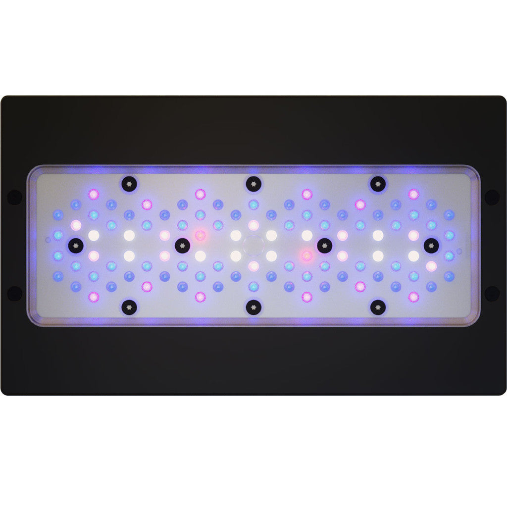 EcoTech Marine Radion G6 XR30 Blue LED Light – Saltboxx USA